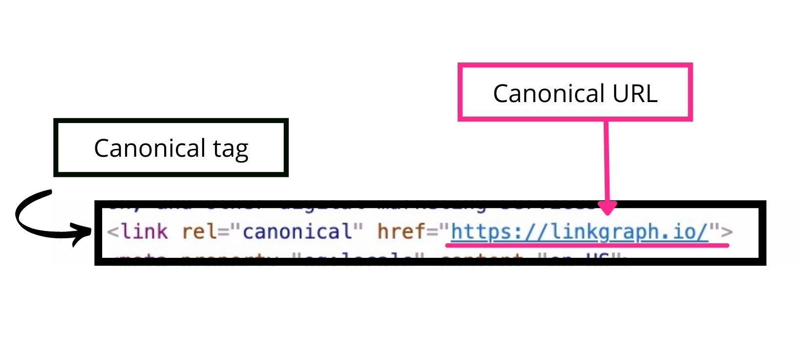 What Are Canonical Tags and When to Use Them - LinkGraph